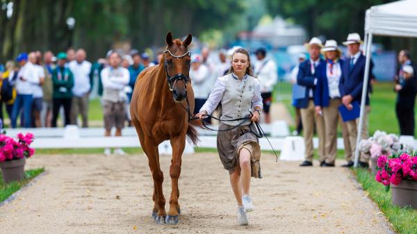Pferd von Lea Siegl aus Olympia-Bewerb genommen